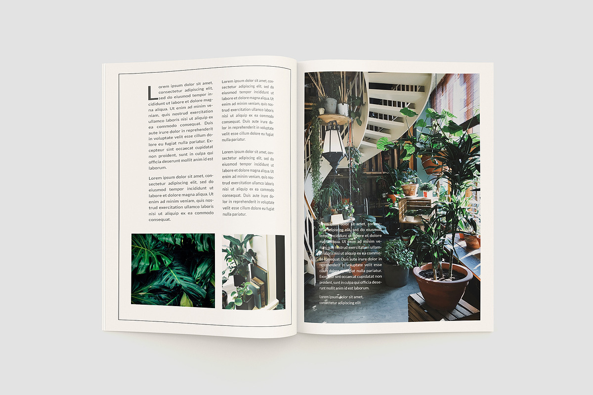 Plants Magazine, a Magazine Template by AQR Studio