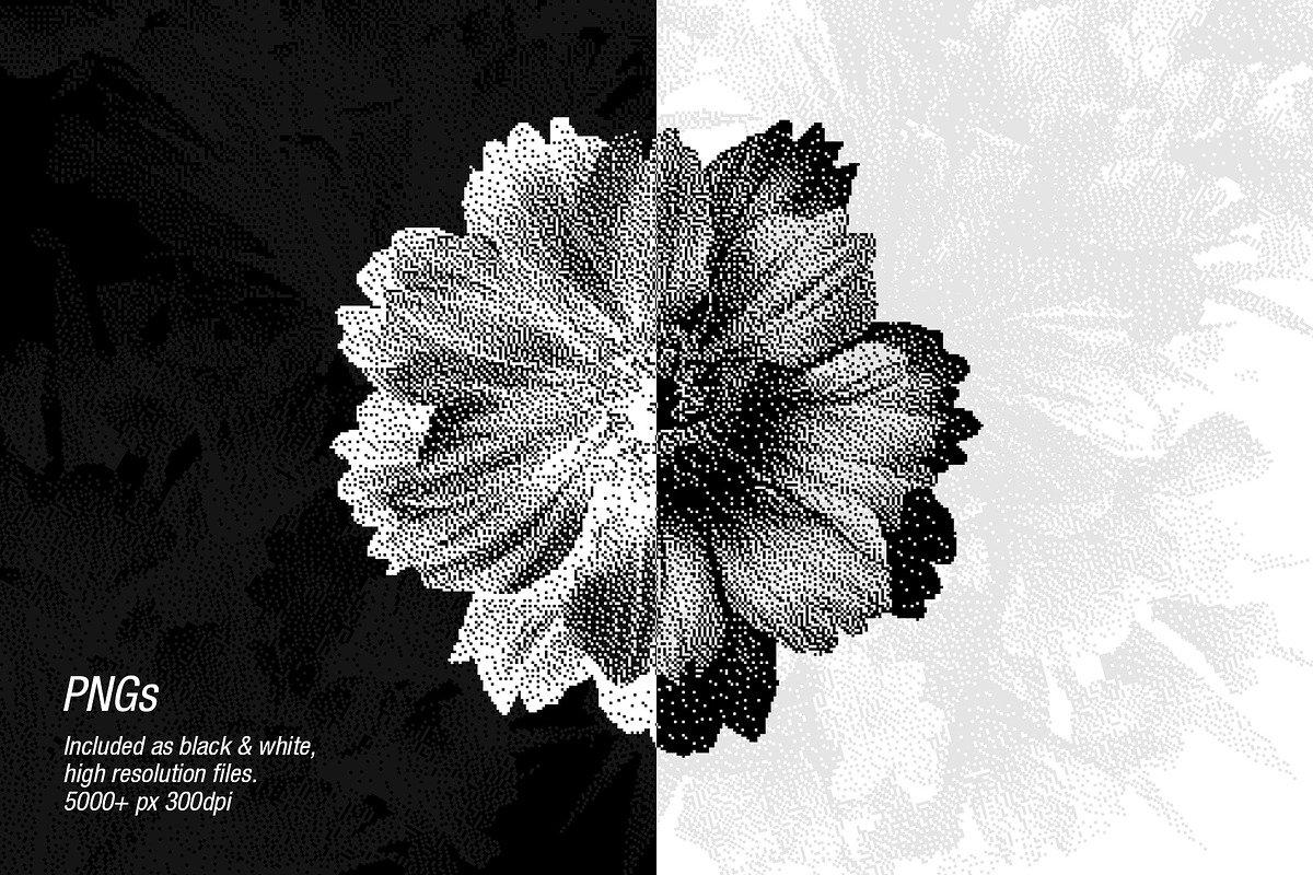 70 Botanic Dither Vector & PNG