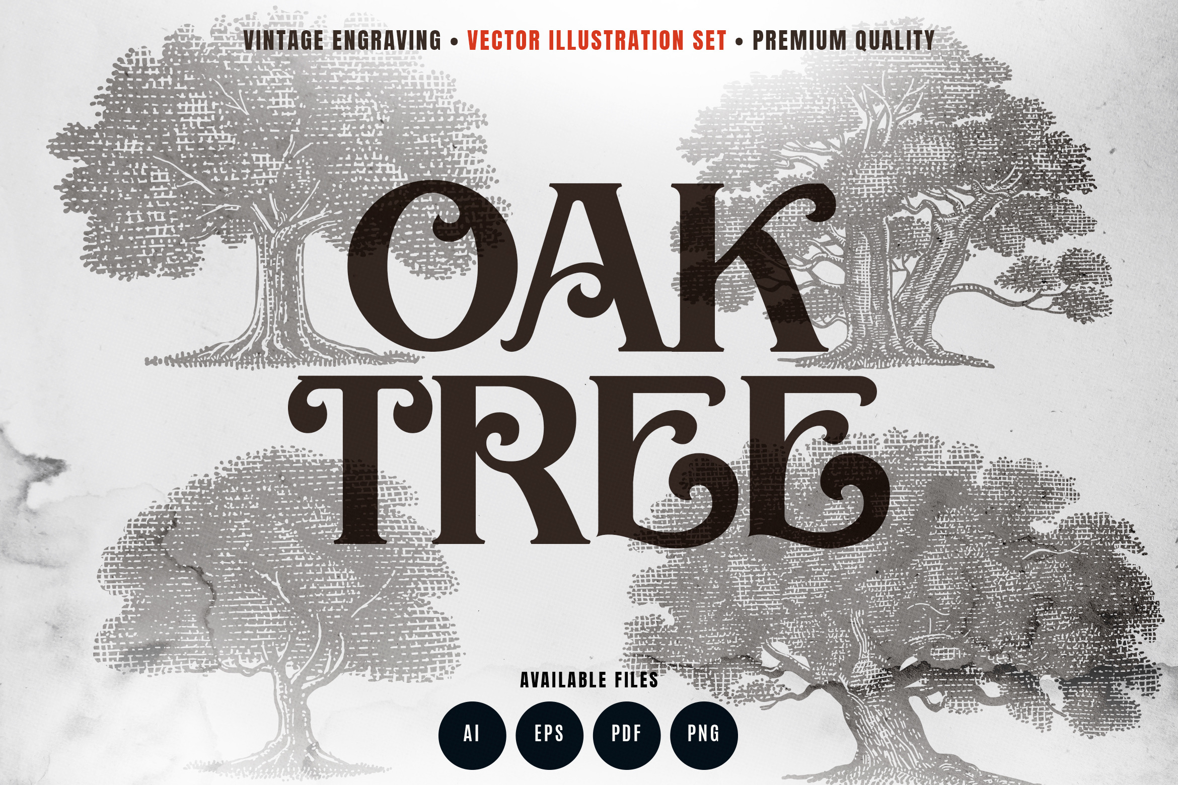 4 Vintage Oak Tree Illustration