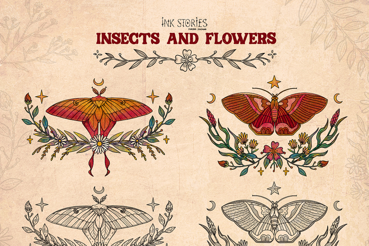 Insects and Flowers, an Animal Illustration by Ink Stories