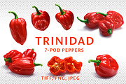 Trinidad 7-Pod peppers, an Object Graphic by Hortimages