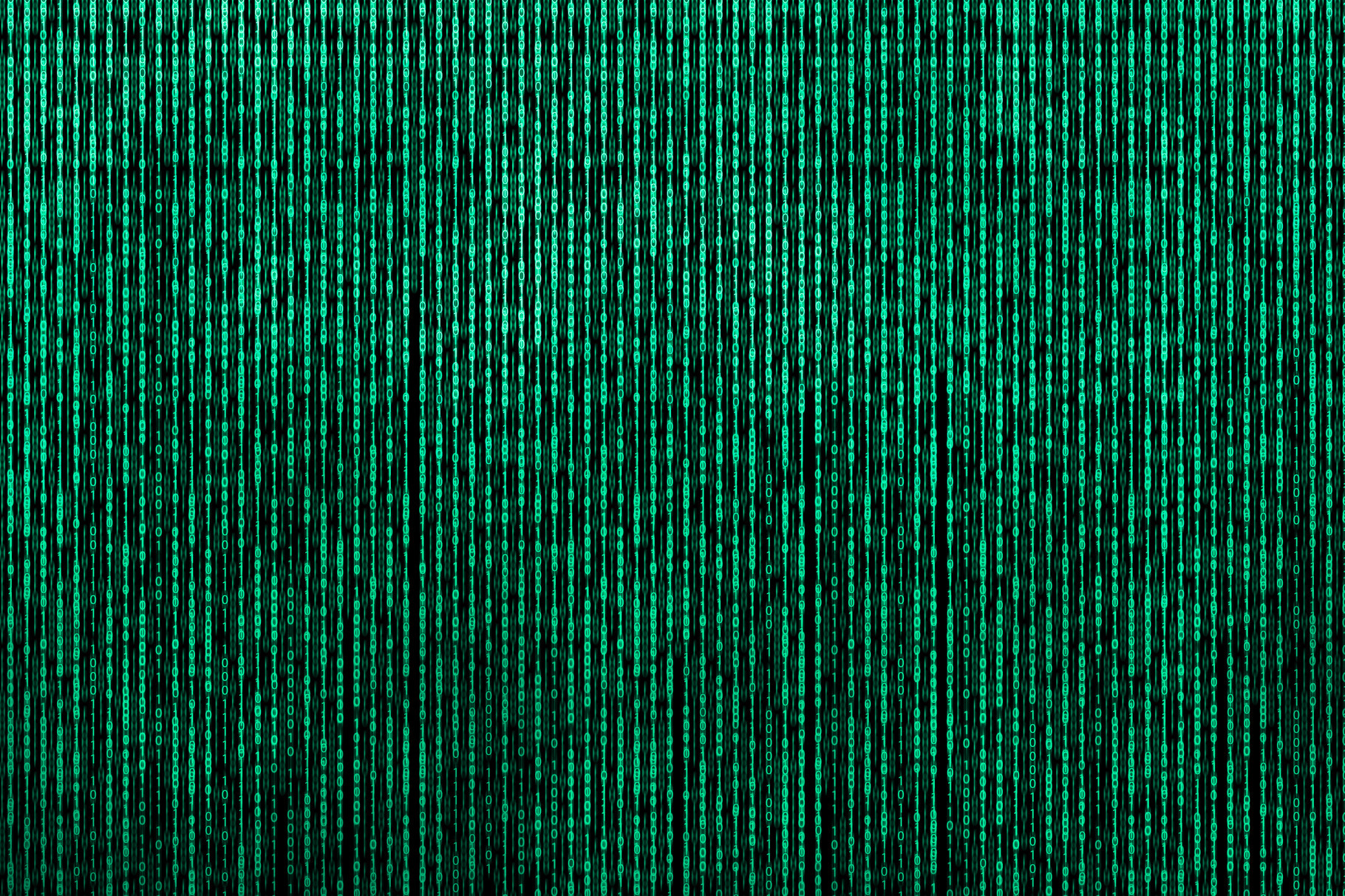 Digital green matrix background, a Technology Photo by Vapi