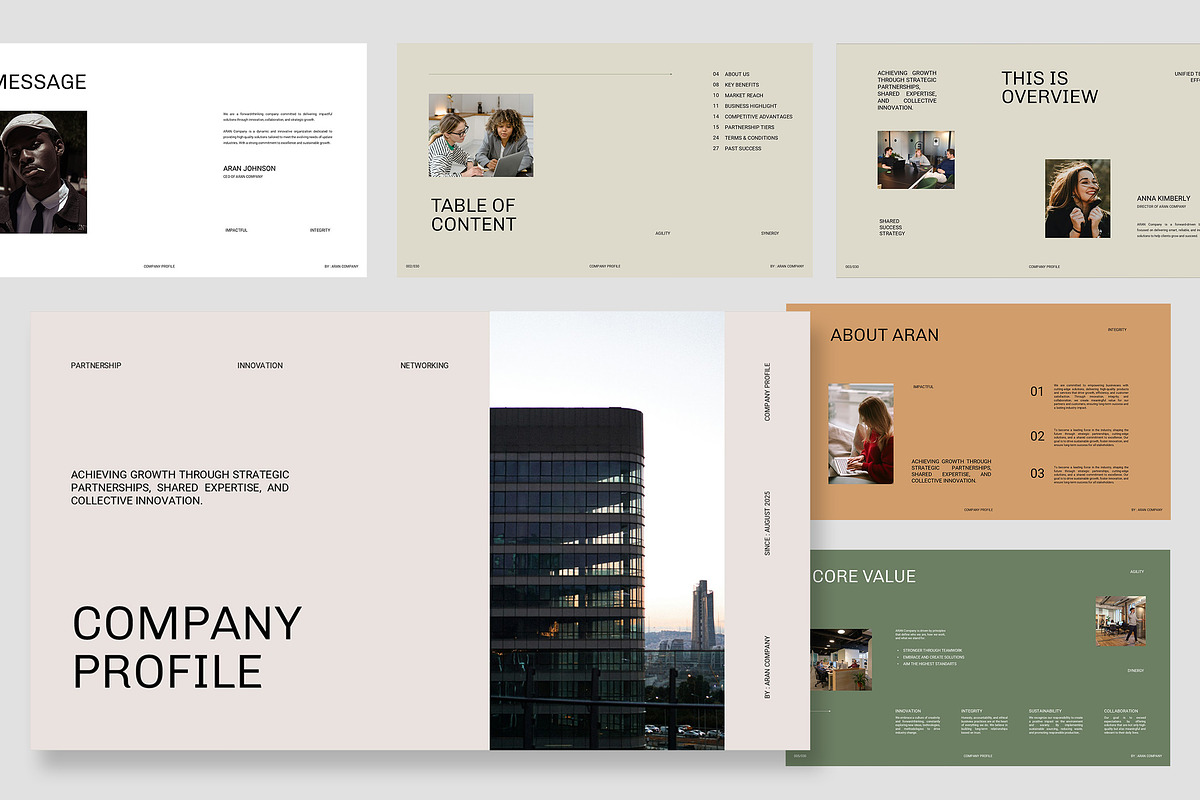 Aran : Company Profile Powerpoint