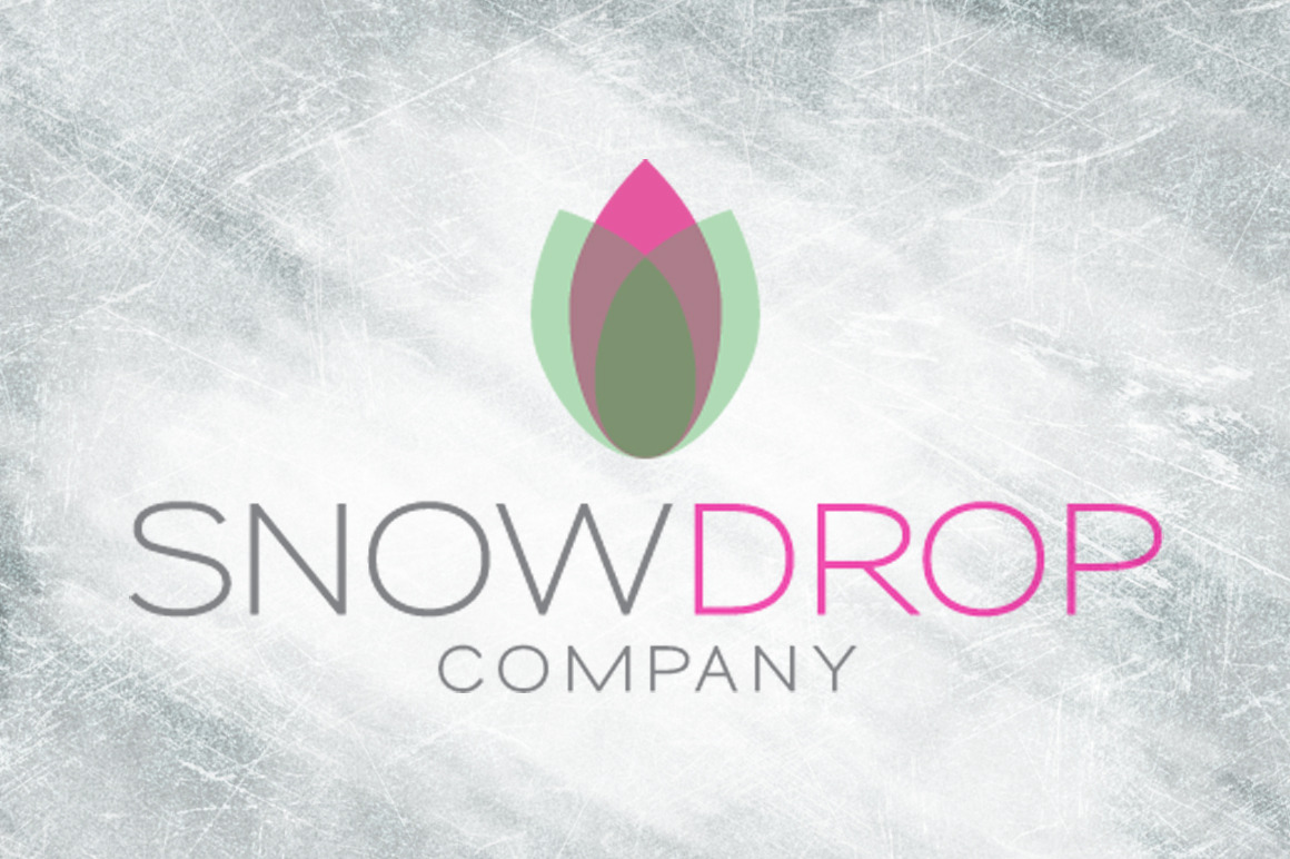 Snow Drop Logo, a Branding & Logo Template by SkyvaraSupply