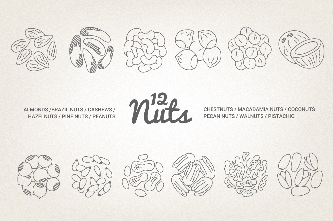 12 Nuts - illustration & patterns, a Food Illustration by miumiu ...