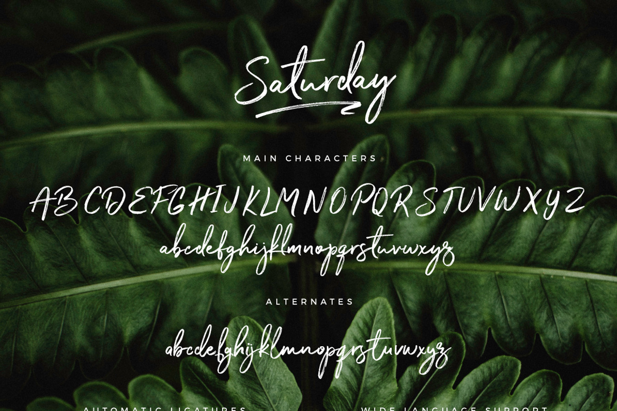 The Saturday Typeface, a Script Font by Mats-Peter Forss