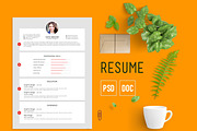Flat Resume, a Resume Template by Graphicalark | Creative Market