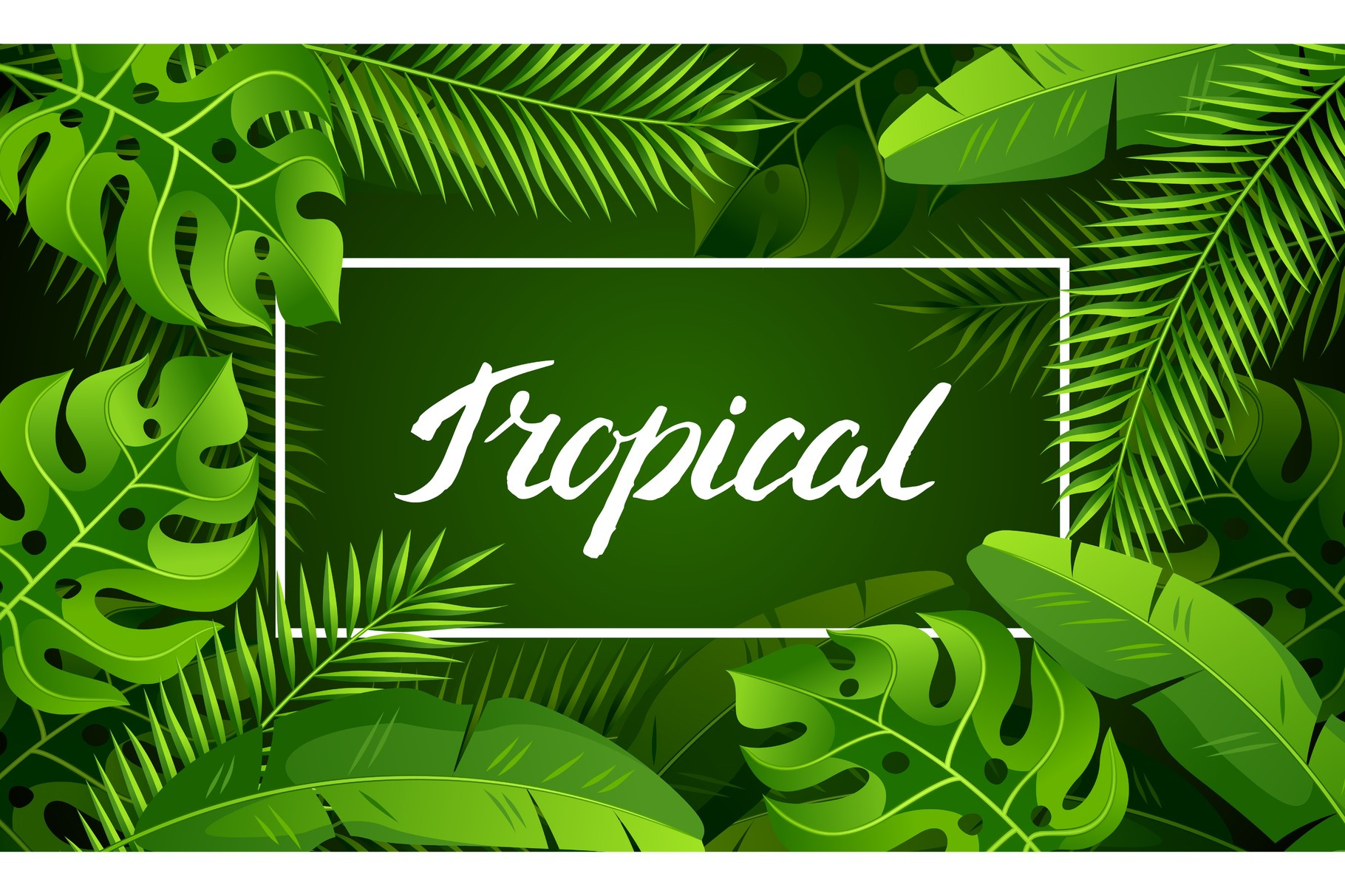 Banner with tropical palm leaves. Exotic tropical plants. Illustration ...