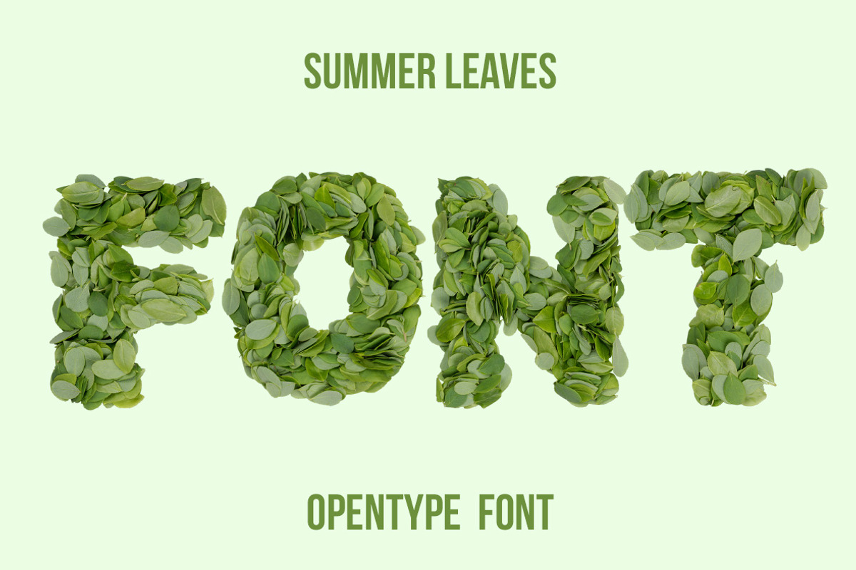 Summer Leaves Font, a Font by Handmadefont