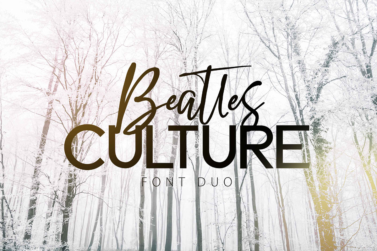 Beatles Culture - Font Duo, a Script Font by Olexstudio