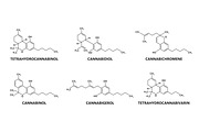Cannabinoid molecule structure, an Illustration by Vector Tradition