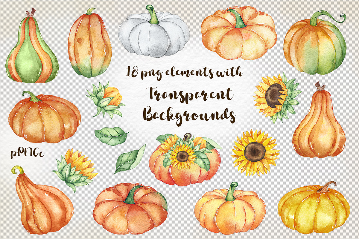 Watercolor Pumpkin clipart, an Illustration by PassionPNGcreation
