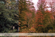 Forest Tone Lightroom Presets, an Action Add-On by N A N D U Z D E S I G N