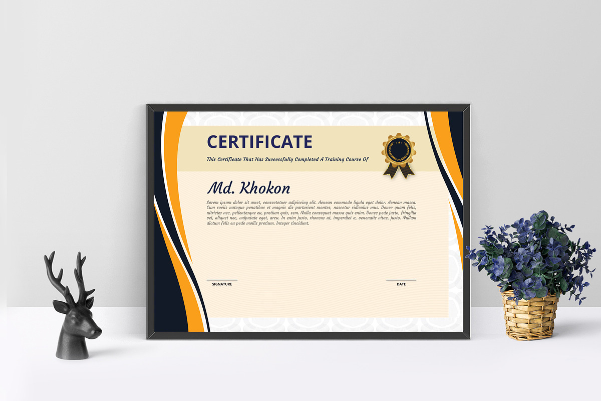 Professional Diploma Certificate, a Stationery Template by MRI STUDIO
