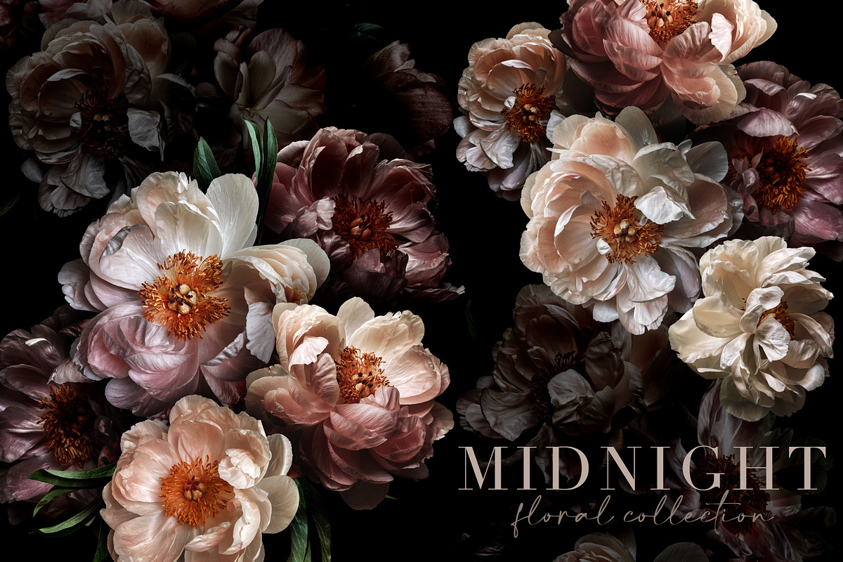 Midnight Floral Clip Art Collection, an Object Graphic by Eclectic Anthology