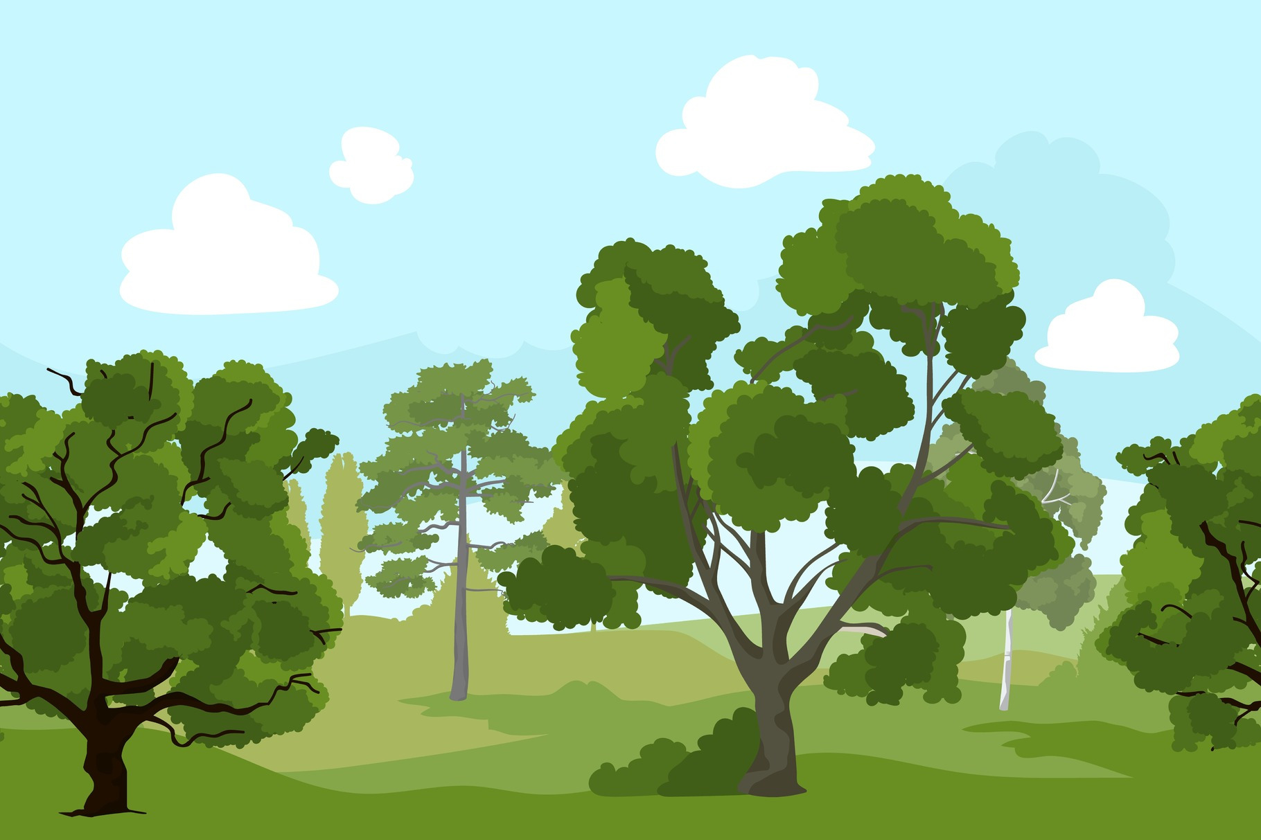 Forest landscape with different, a Background Graphic by Onyx