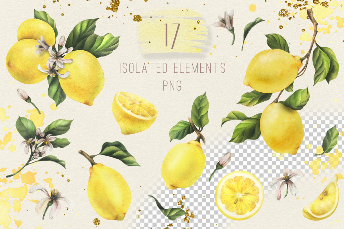 Lemons sunny watercolor clipart, a Food Illustration by NATASHA CHU