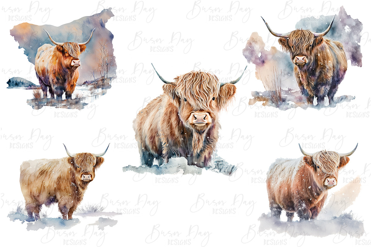 Watercolor Highland Cows Clipart, an Animal Illustration by BusyDaydesign
