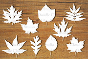 Leaves SVG Cut Files, Leaves Clipart, a Decorative Illustration by ...