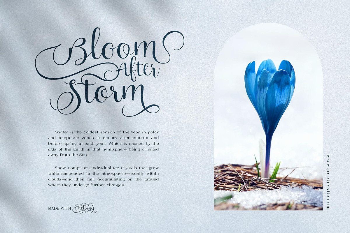 Hellony Typeface, a Script Font by alit design