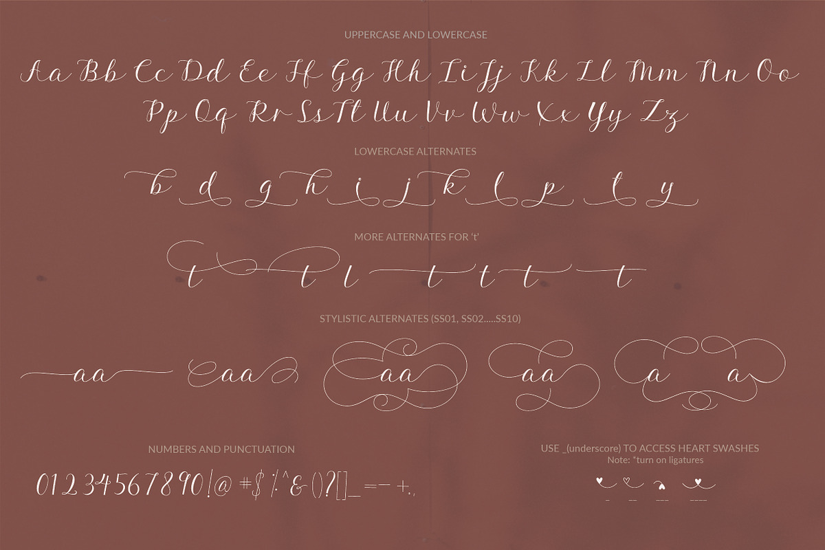 Aesthetics Luxury Script Font, a Script Font by theinkaffair