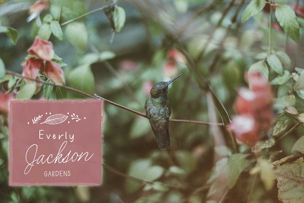 Secret Garden | Classic Font Duo, a Script Font by ElleMarieCalligraphy