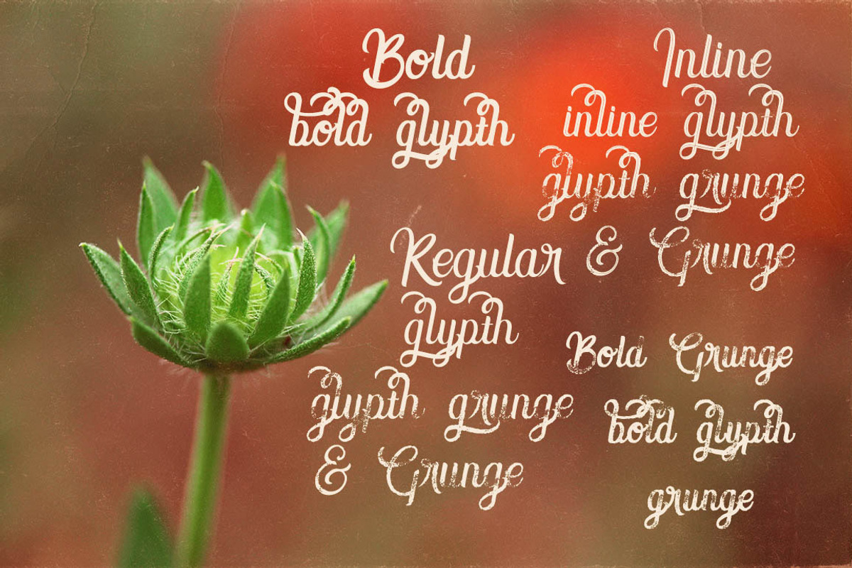 Amora Script, a Script Font by JumboDesign