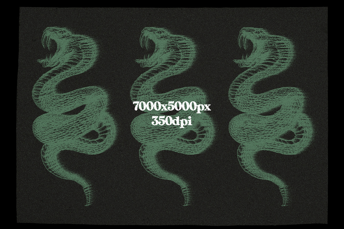 Blurred Photocopier Print Effect, a Texture Graphic by B/B STUDIO
