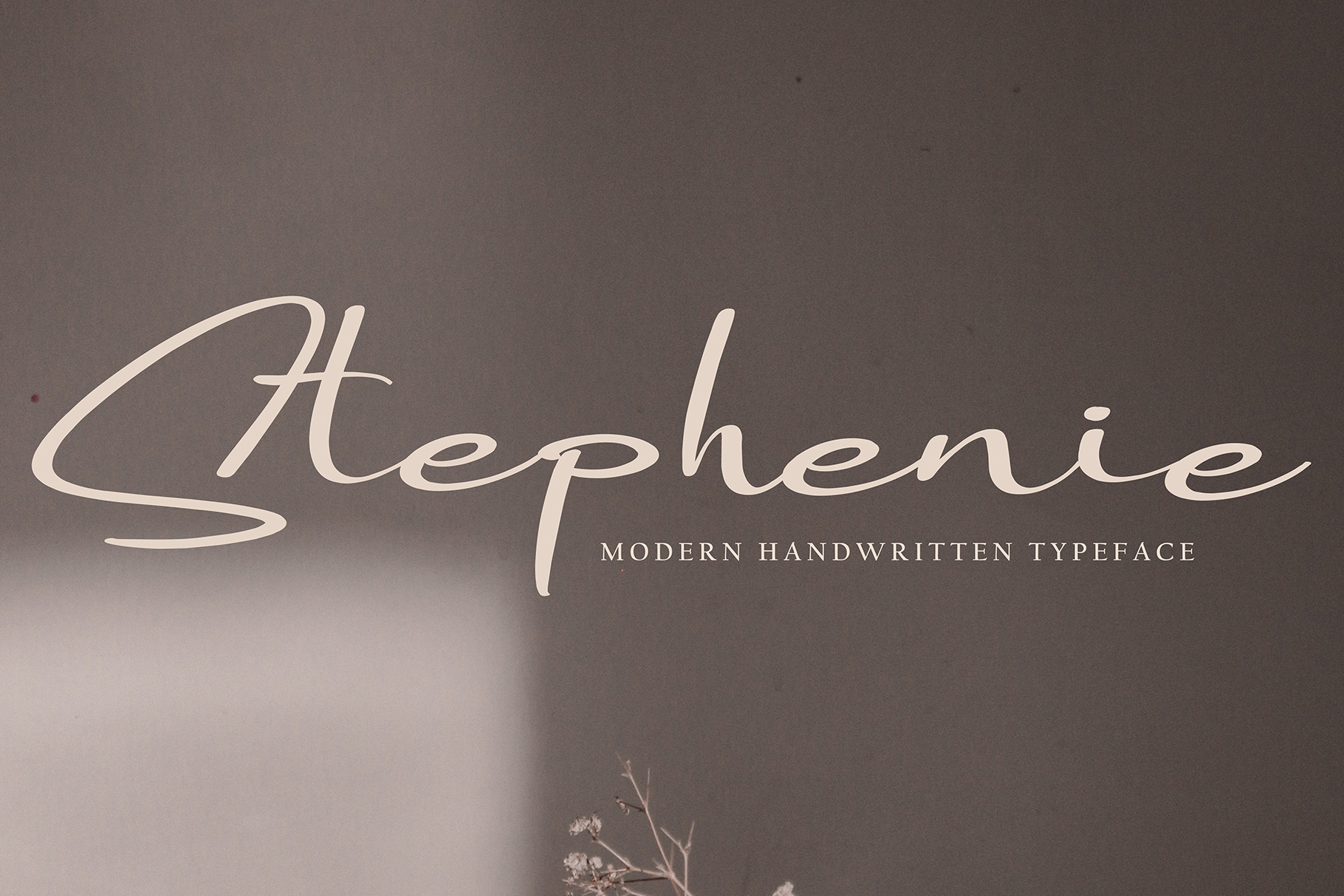 Stephenie, a Script Font by pineungtype