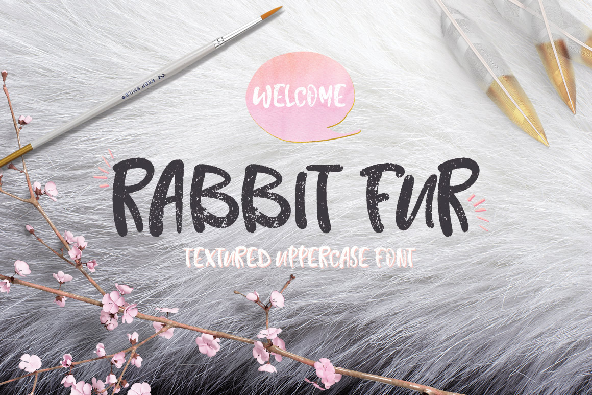 Rabbit Fur Font Typeface, a Font by Creativeqube Design