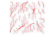 Red veins, anatomy blood artery, a Healthcare Illustration by Vector ...
