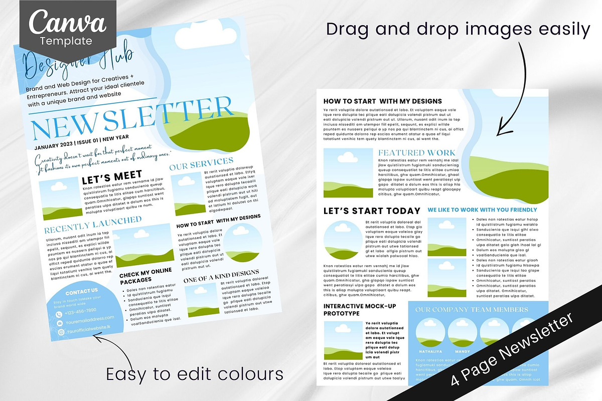Canva Business Newsletter Template