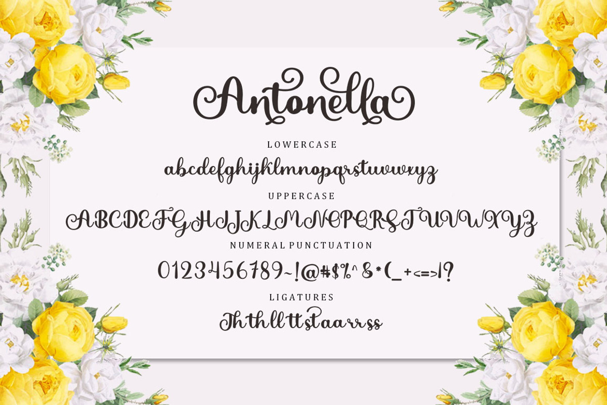 Antonella Script, a Script Font by Bosstype Studio