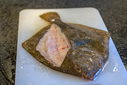 Filleted tarbot, a Food & Drink Photo by Patricia Hofmeester
