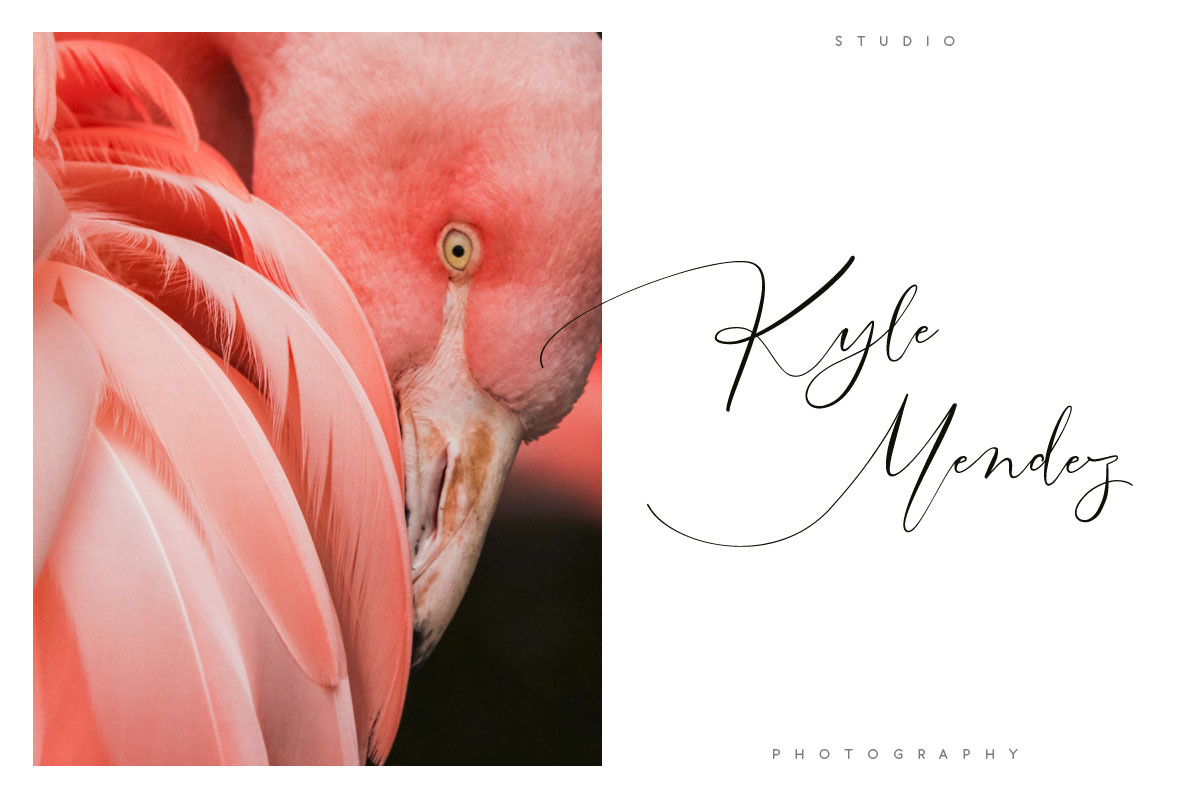 Rumie Script, a Script Font by vuuuds