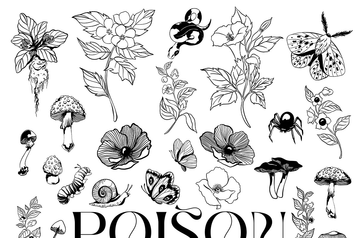 Poison. Watercolor and line art., an Object Illustration by ma_i_vi