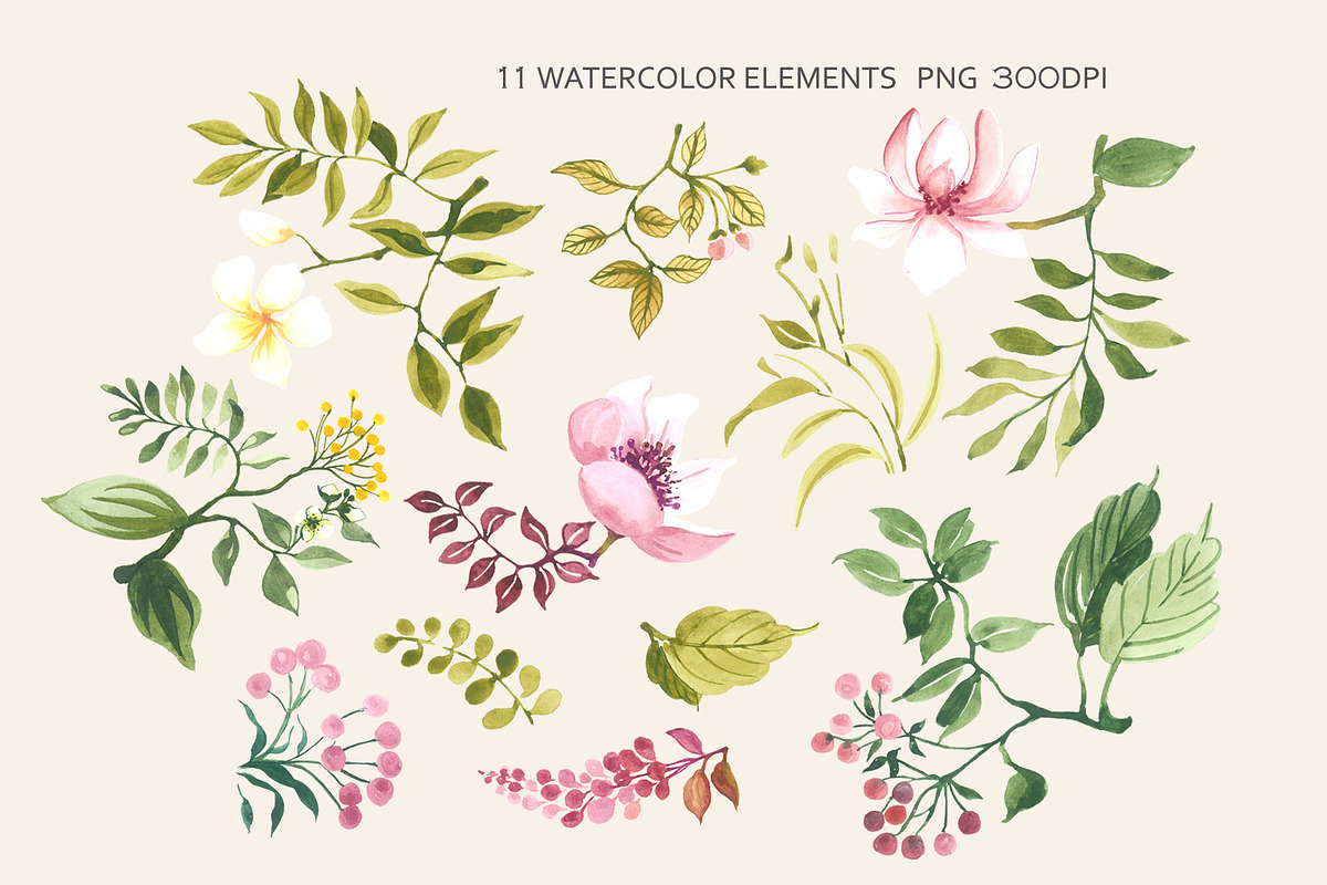 Tropical flowers watercolor clipart, a Decorative Illustration by ...