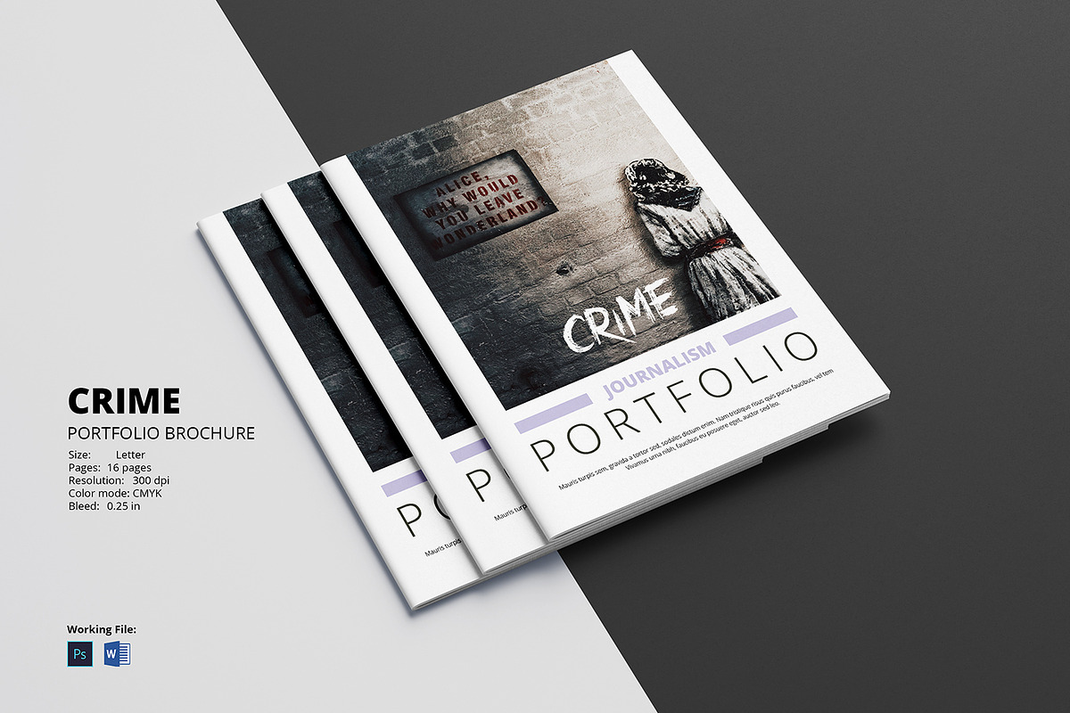 Crime Portfolio Brochure, a Brochure Template by crazyOWL