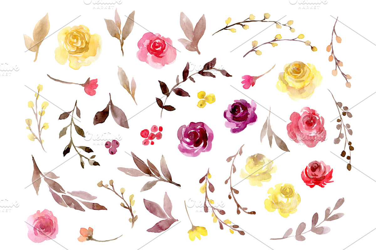 Bright Watercolor Flowers Roses PNG, an Illustration by GraphicsDish
