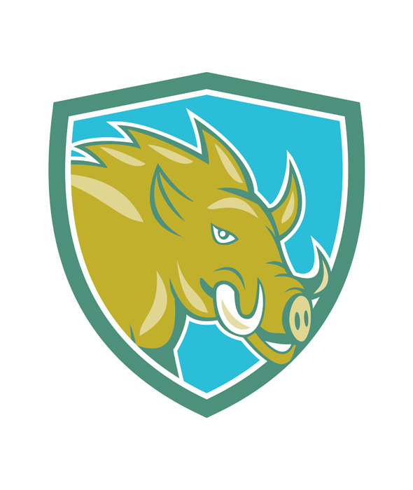 Razorback Head Charge Shield Cartoon, an Animal Illustration by patrimonio