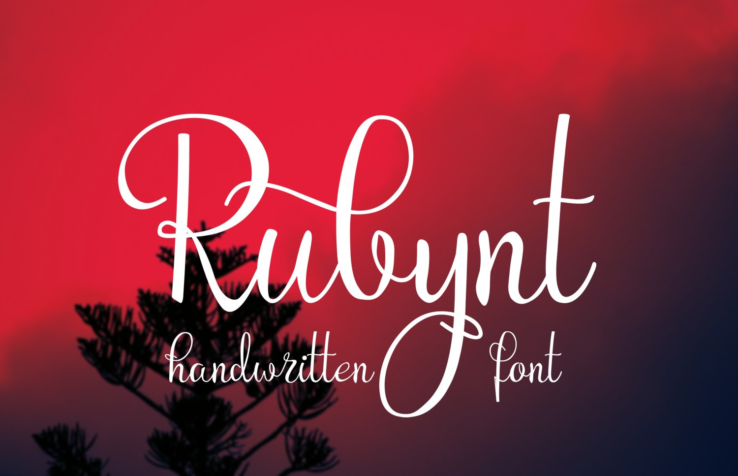 Rubynt, a Script Font by Digital Typeface Studio