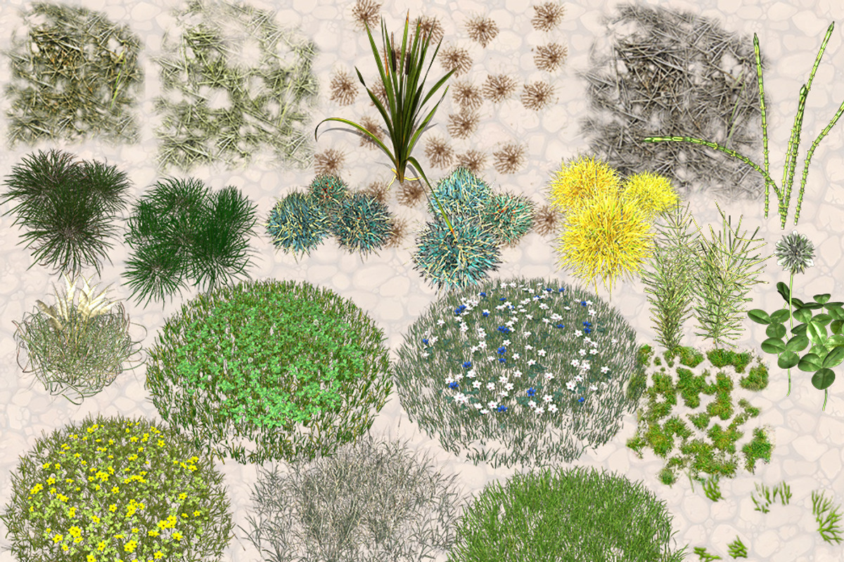 NATURE OBJECTS, an Object Graphic by Beatheart Creative Studio
