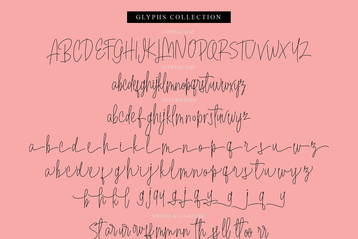 Shelly Signature Font, a Script Font by Aktab Studio