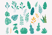 Flat Vector set of Plants, a Decorative Illustration by Vector_Art