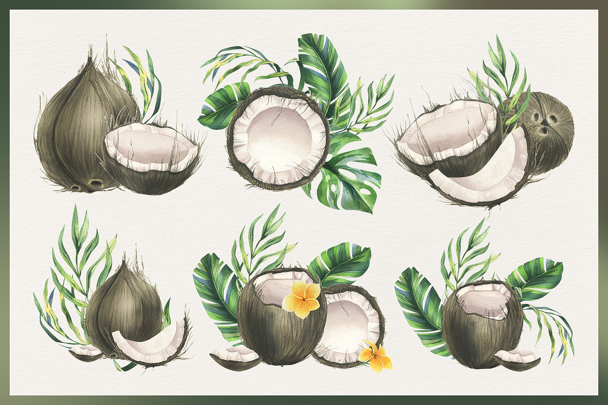 Coconuts tropical leaves watercolor, an Illustration by NATASHA CHU ...