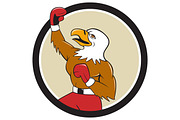 Bald Eagle Boxer Pumping Fist, an Illustration by patrimonio