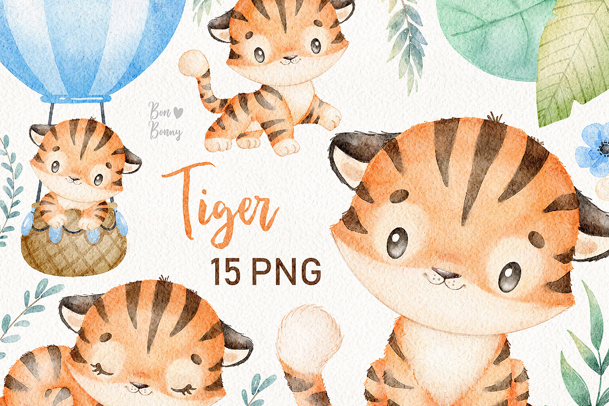 Cute Tiger Watercolor Clipart, an Animal Illustration by BonbonnyDesigns