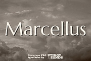 Marcellus Pro, a Serif Font by Stiggy & Sands