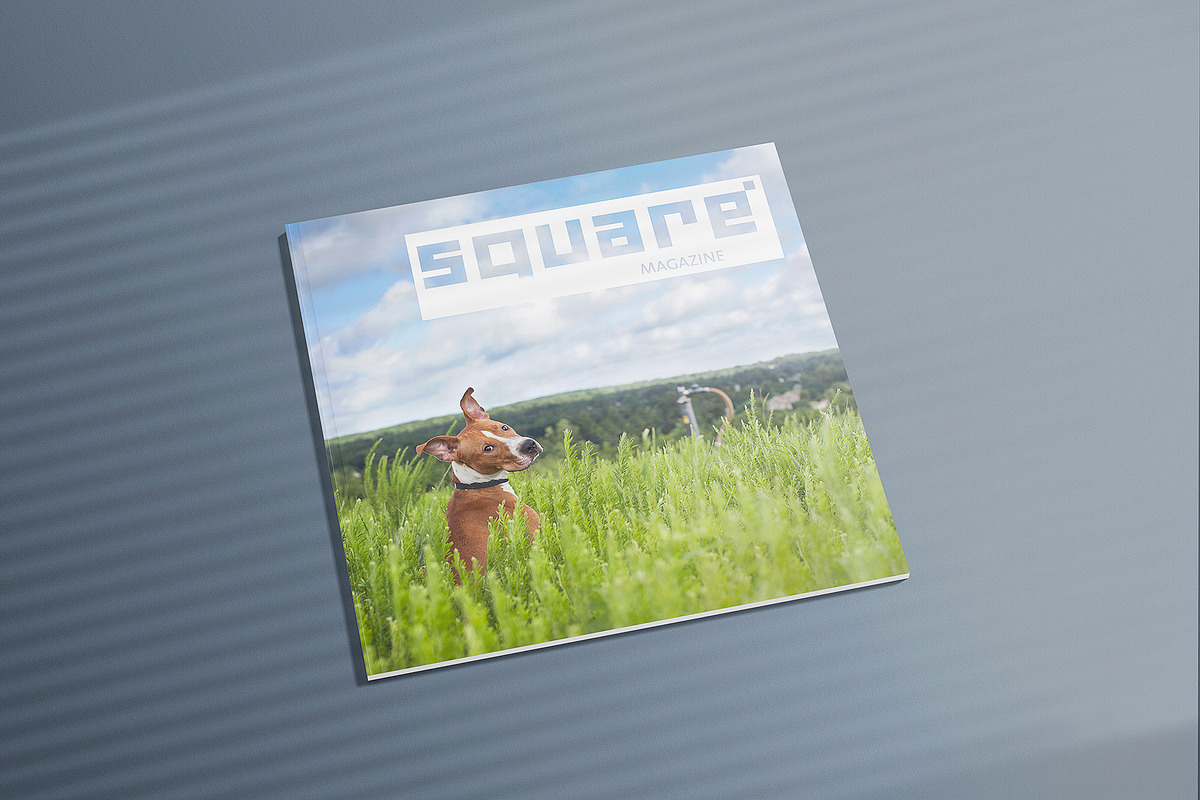 Square Magazine Cover mock-up, a Print Template by ItemBridge