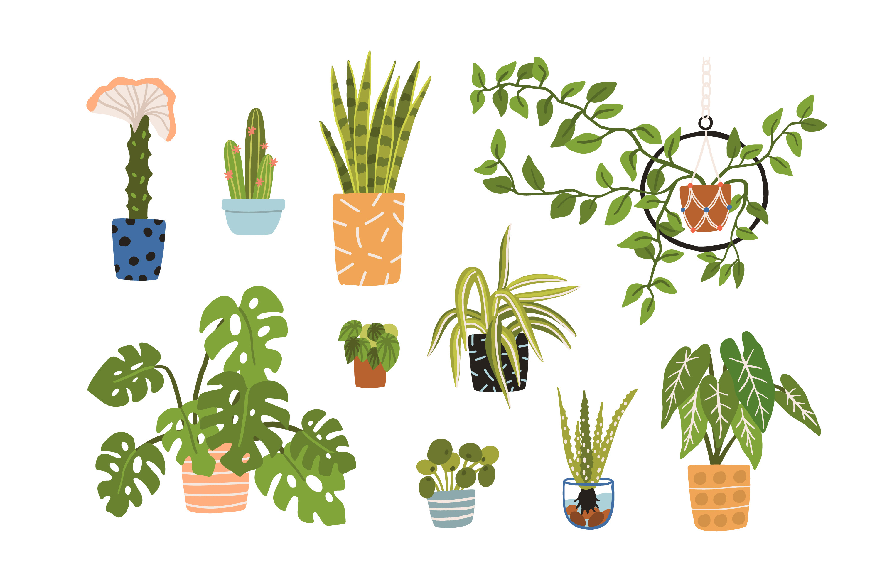 Houseplants set, a Decorative Illustration by Good Studio